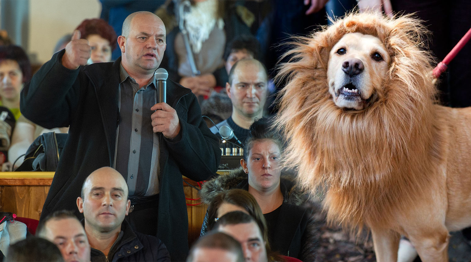FOTO: Ungurii din Ditrău bagă spaima în sri-lankezi! Ca să-i sperie pe ...